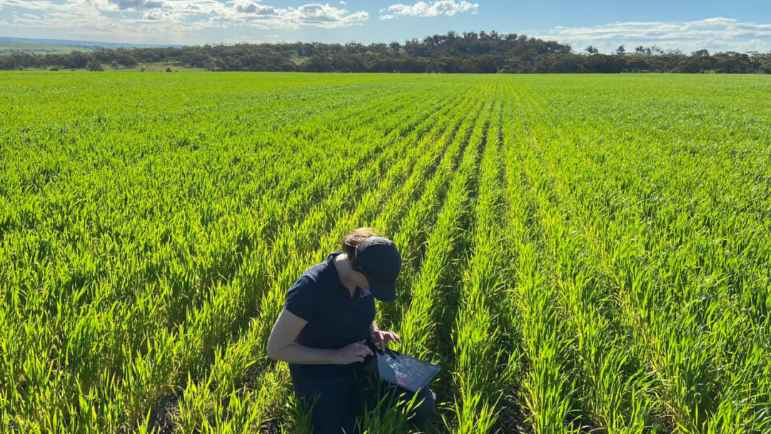 Home - SLR Agriculture