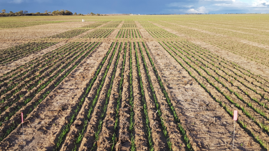 Projects - SLR Agriculture