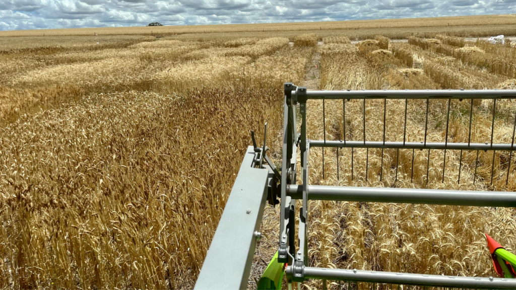 Home - SLR Agriculture